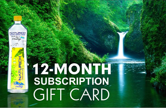12 Month Subscription Gift Card | Stellabrity